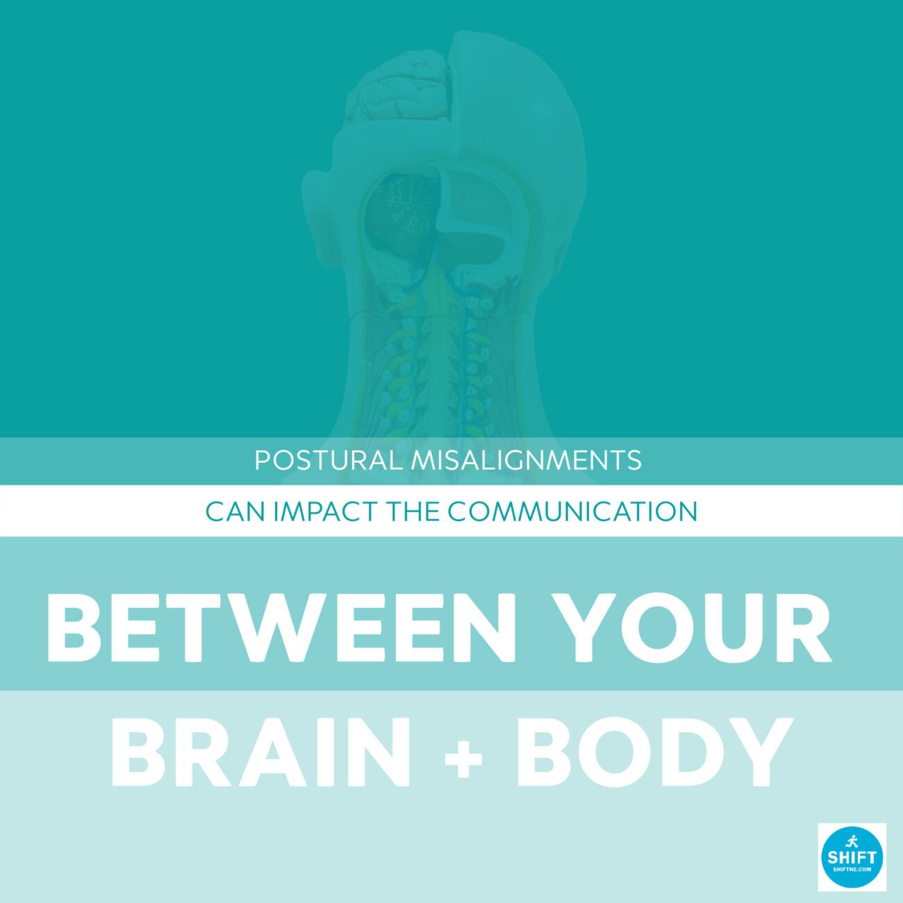 Posture_Meme_12 | Shift Your Posture